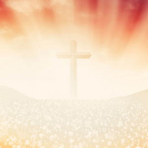 The Rapture's Been Delayed - Bayside Church